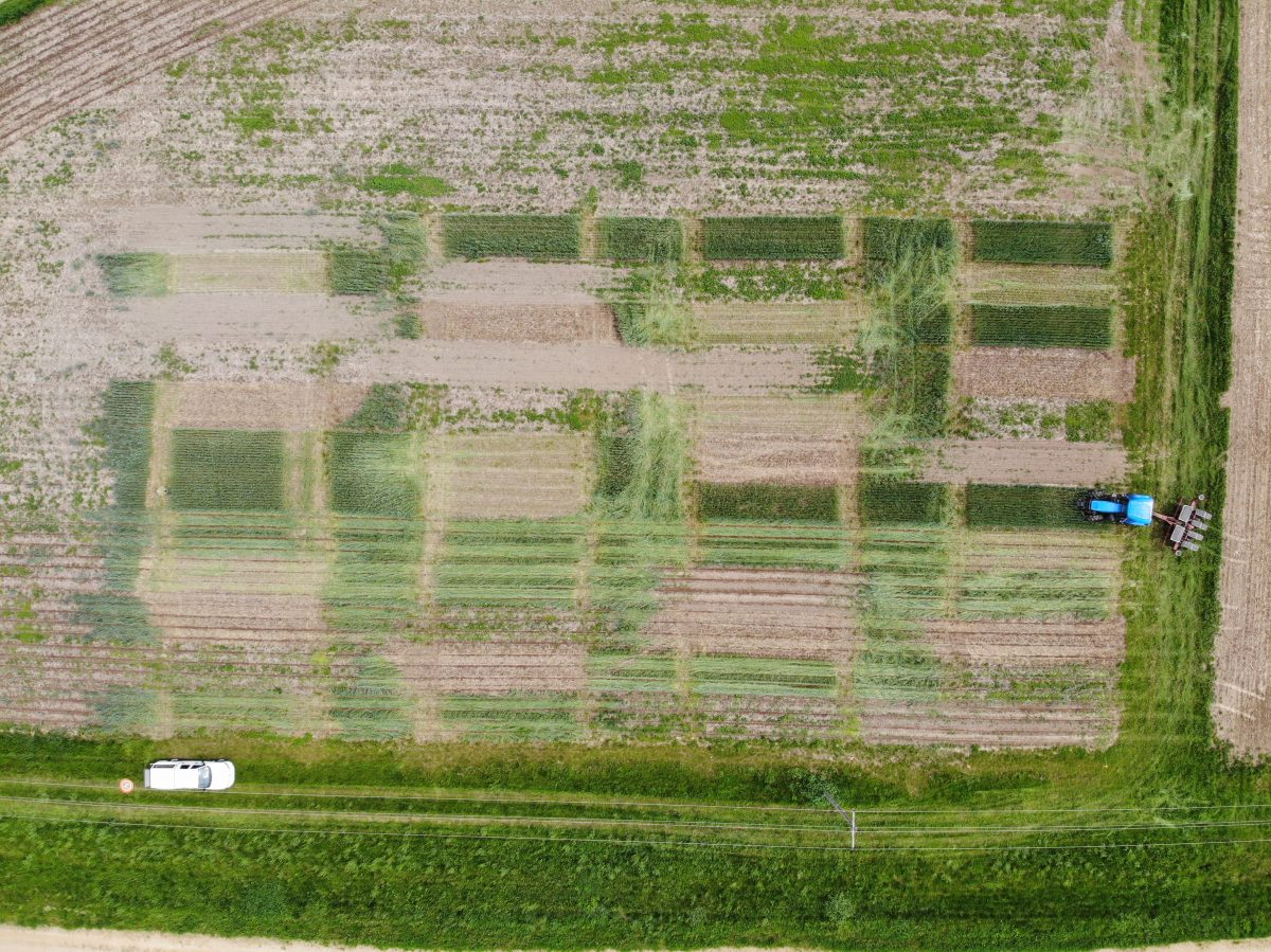 CCROP Gallery – Center for Integrated Agricultural Systems