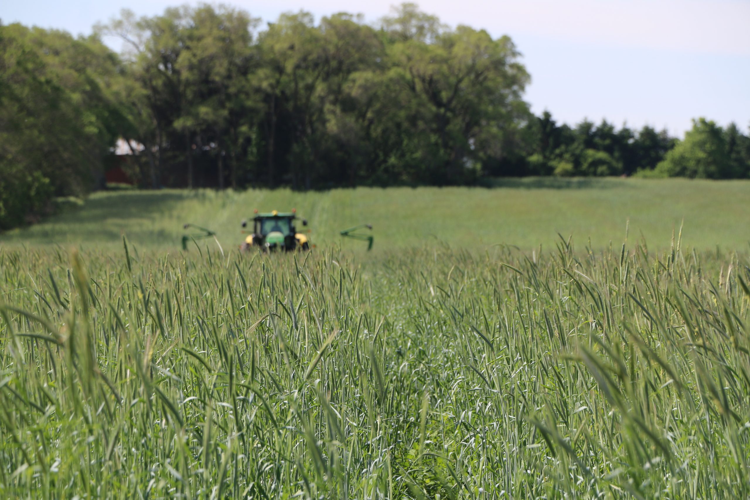 CCROP Gallery – Center for Integrated Agricultural Systems