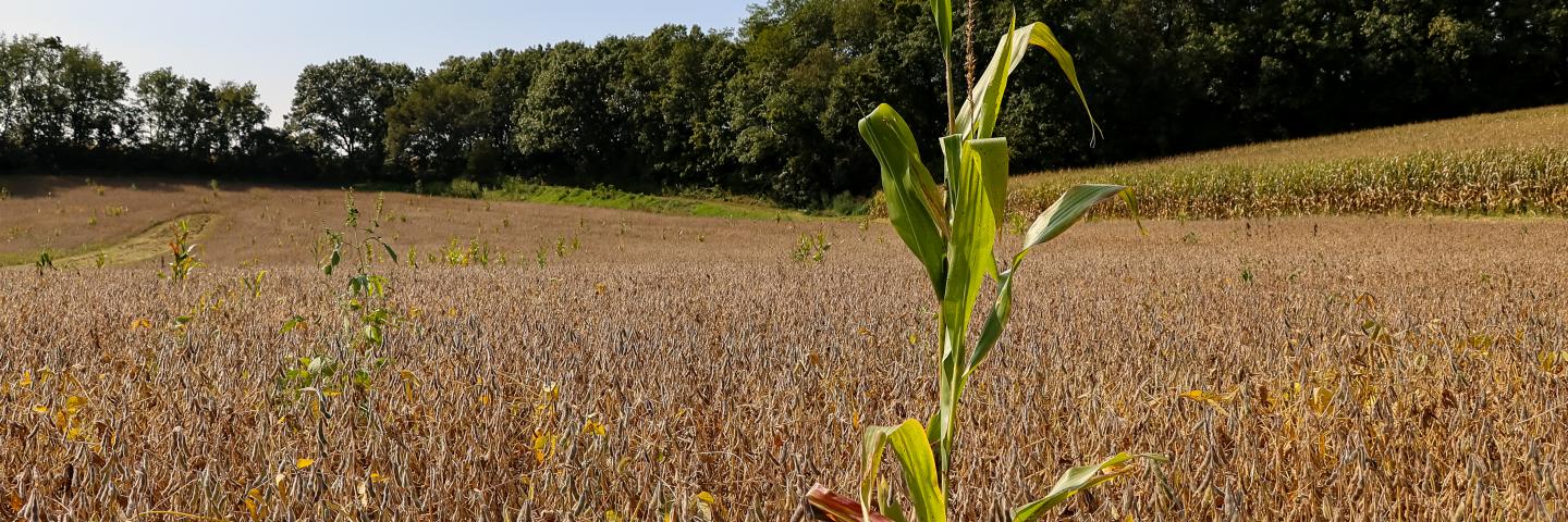 NRCS Wisconsin Announces Application Deadline for Conservation ...